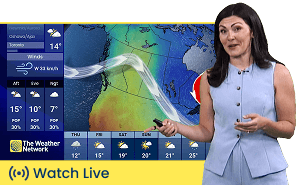 Oshawa, ON Current Weather - The Weather Network